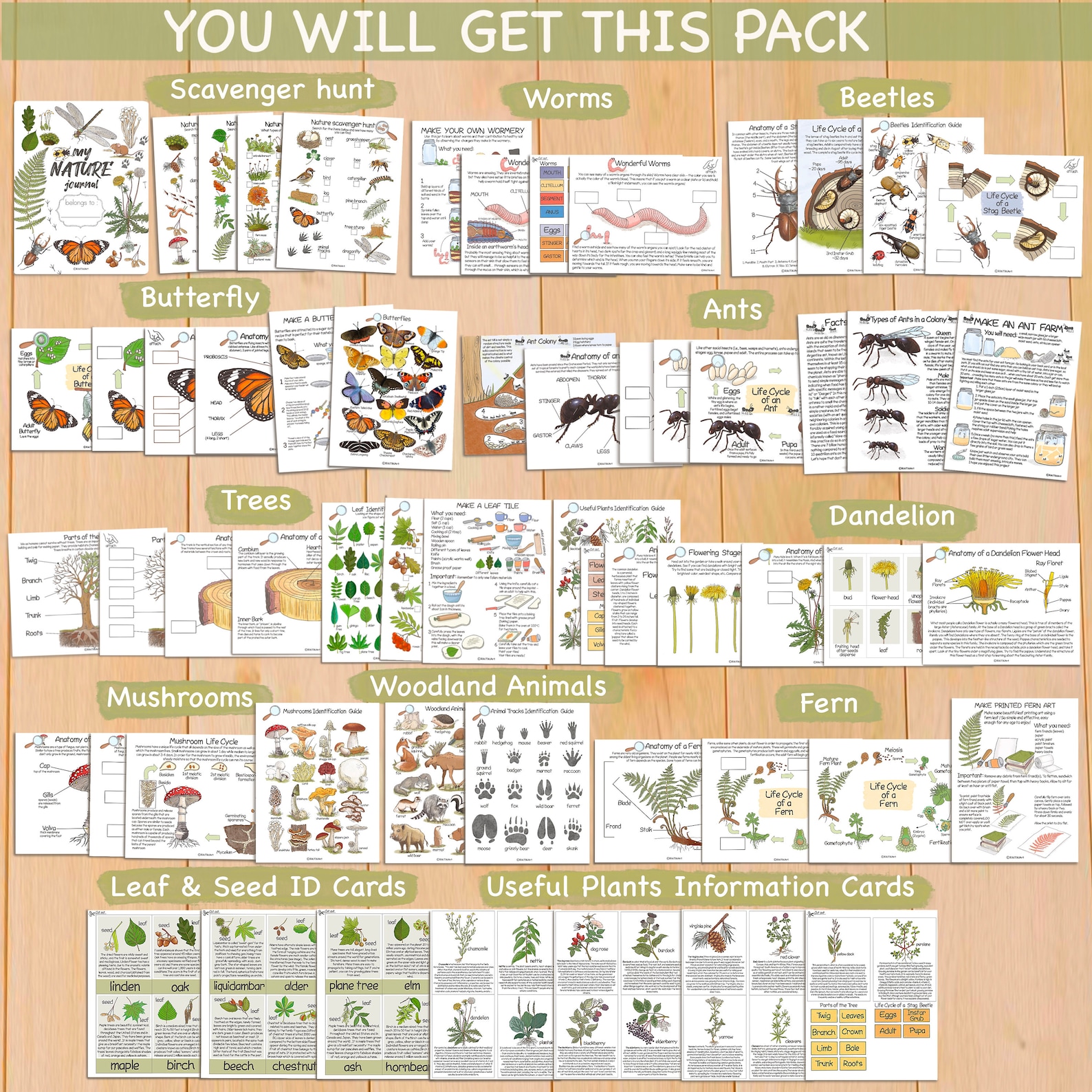 Printable Nature Journal Homeschool Learning Materials Charlotte Mason ...