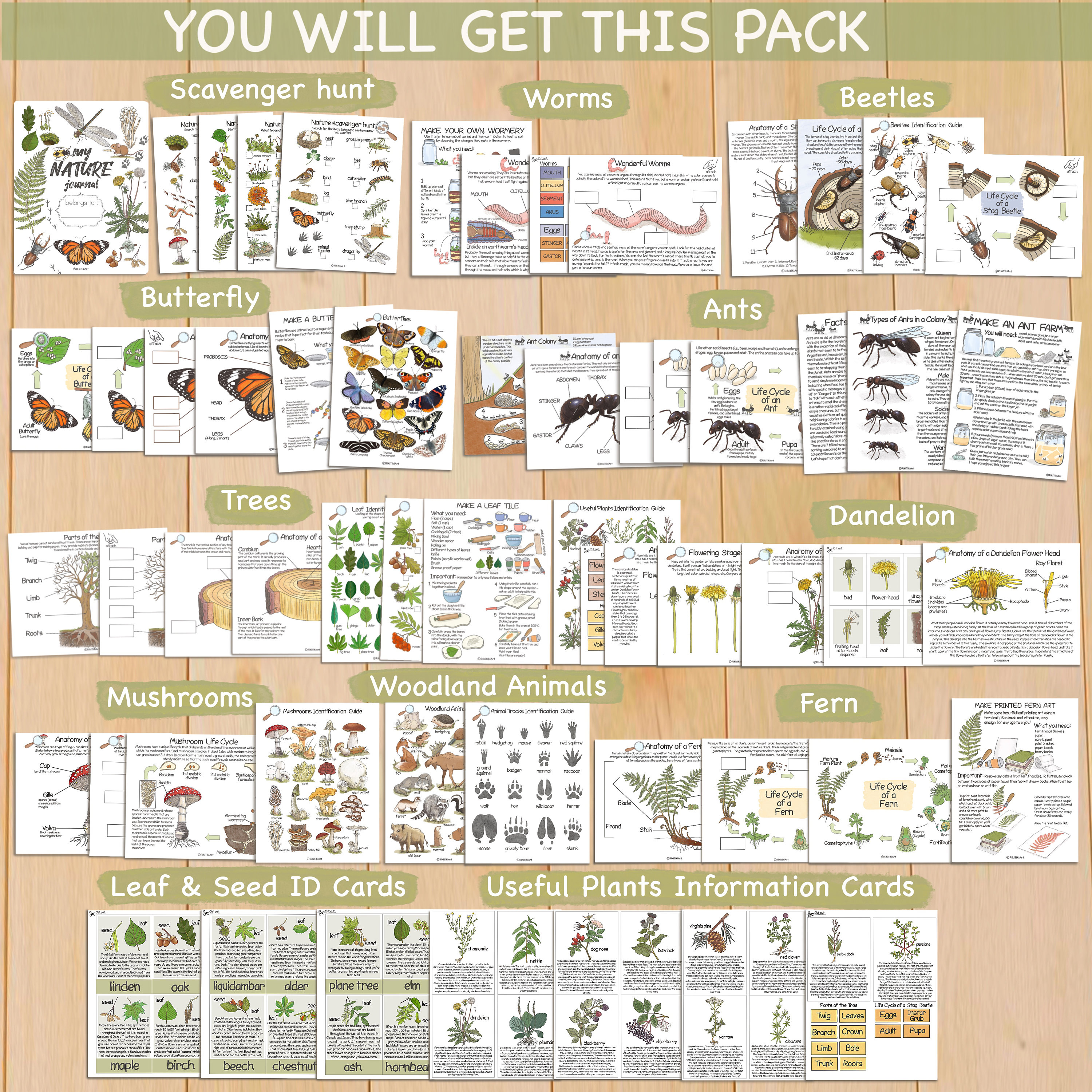 Printable Nature Journal Homeschool Learning Materials Charlotte Mason ...