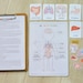 Human Anatomy Activity, Homeschool Montessori Materials, Printable ...