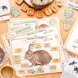 Rabbit Unit Study Homeschool Printables Easter Bunny Spring Learning ...