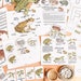 Frog Unit Study Homeschool Summer Activities Frog and Toad Life Cycle ...