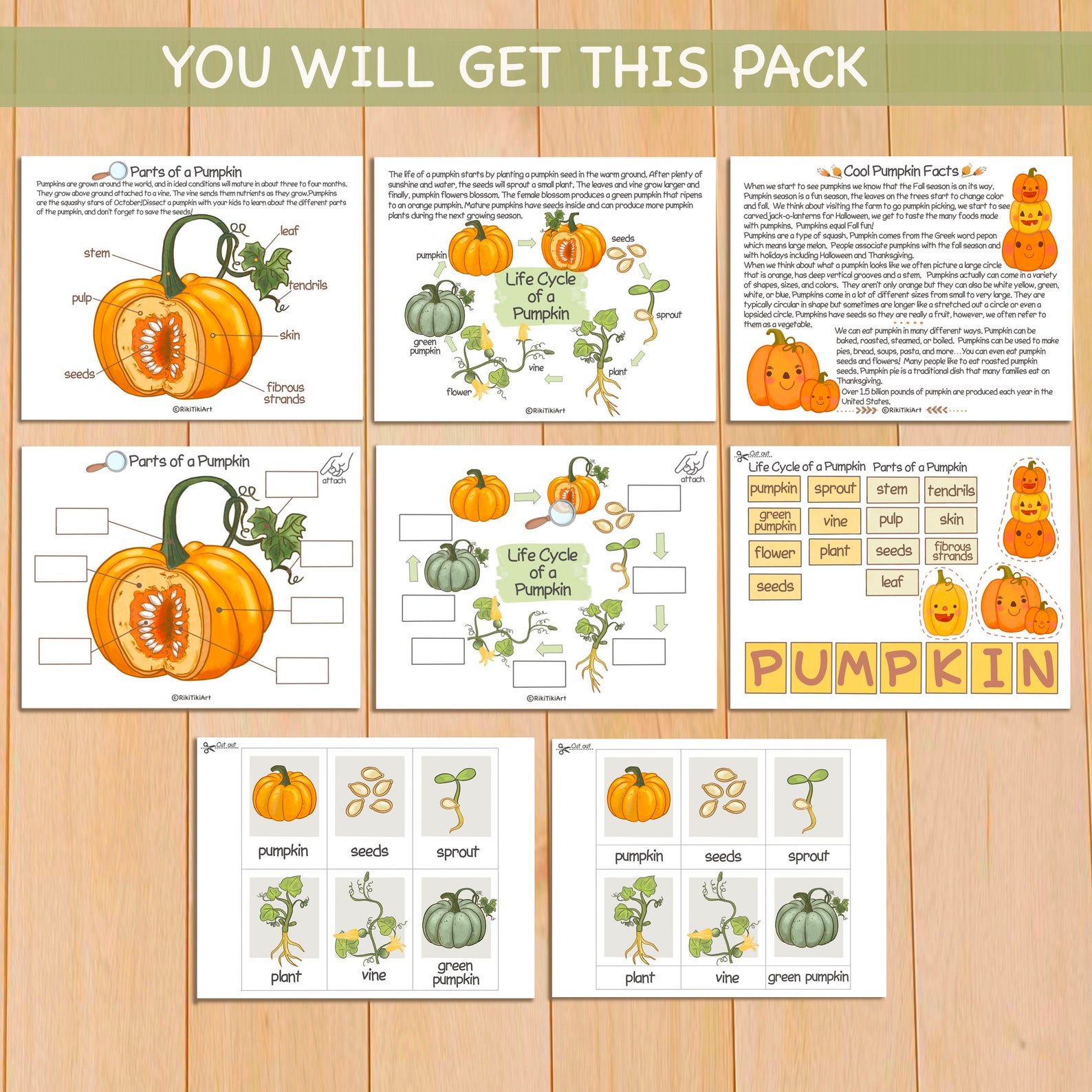 Pumpkin Unit Study Homeschool Learning Materials Charlotte Mason ...