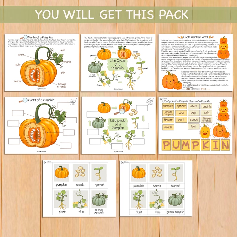 Pumpkin Unit Study Homeschool Learning Materials Charlotte - Etsy