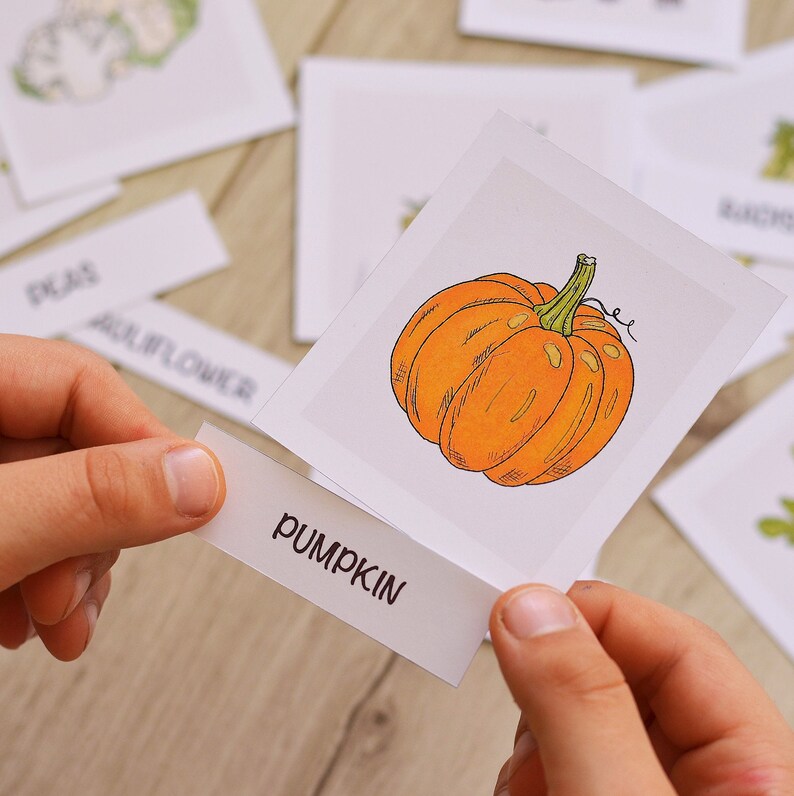 Vegetables Flash Cards, Homeschool Montessori Materials, Preschool ...