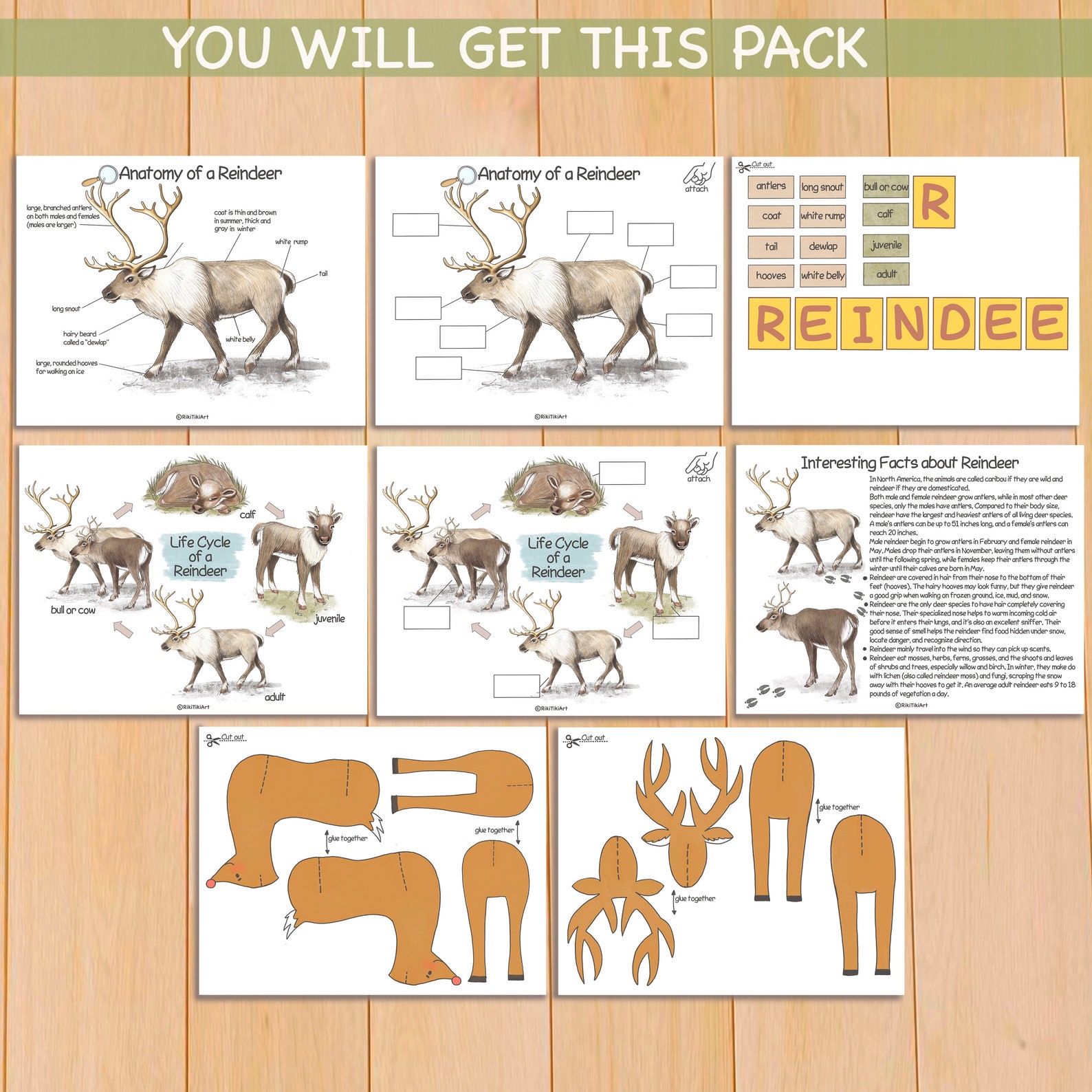Reindeer Unit Study Homeschool Learning Materials Charlotte Mason ...