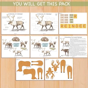 Reindeer Unit Study Homeschool Learning Materials Charlotte Mason ...