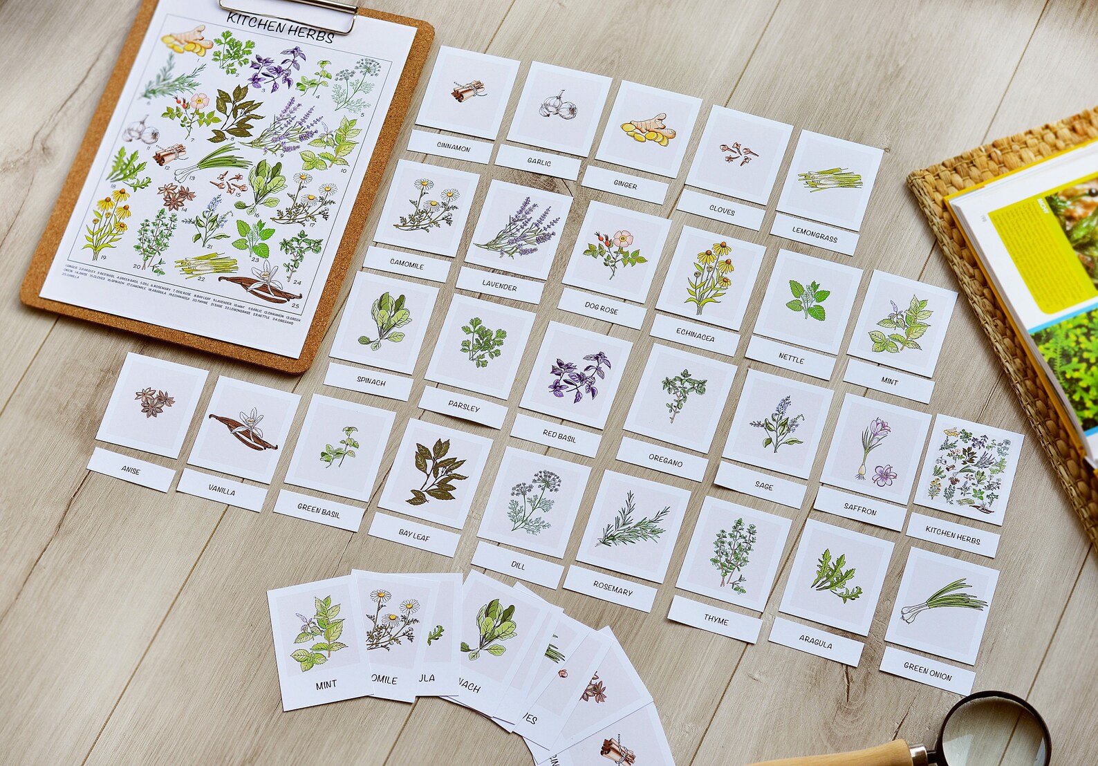 Herbs Flashcards Printable Montessori Materials Preschool - Etsy UK