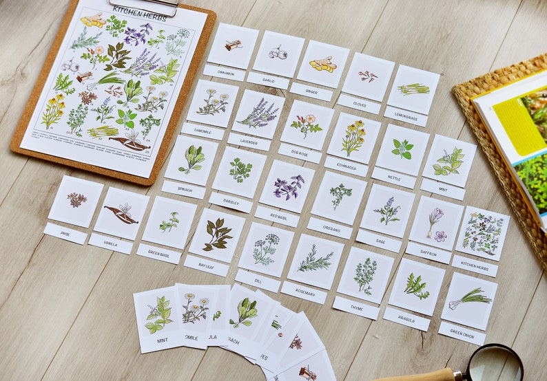 Herbs Flashcards, Printable Montessori Materials, Preschool Toddler ...