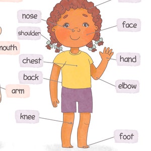 Human Body Poster for Toddlers Body Parts Educational Poster for Kids ...