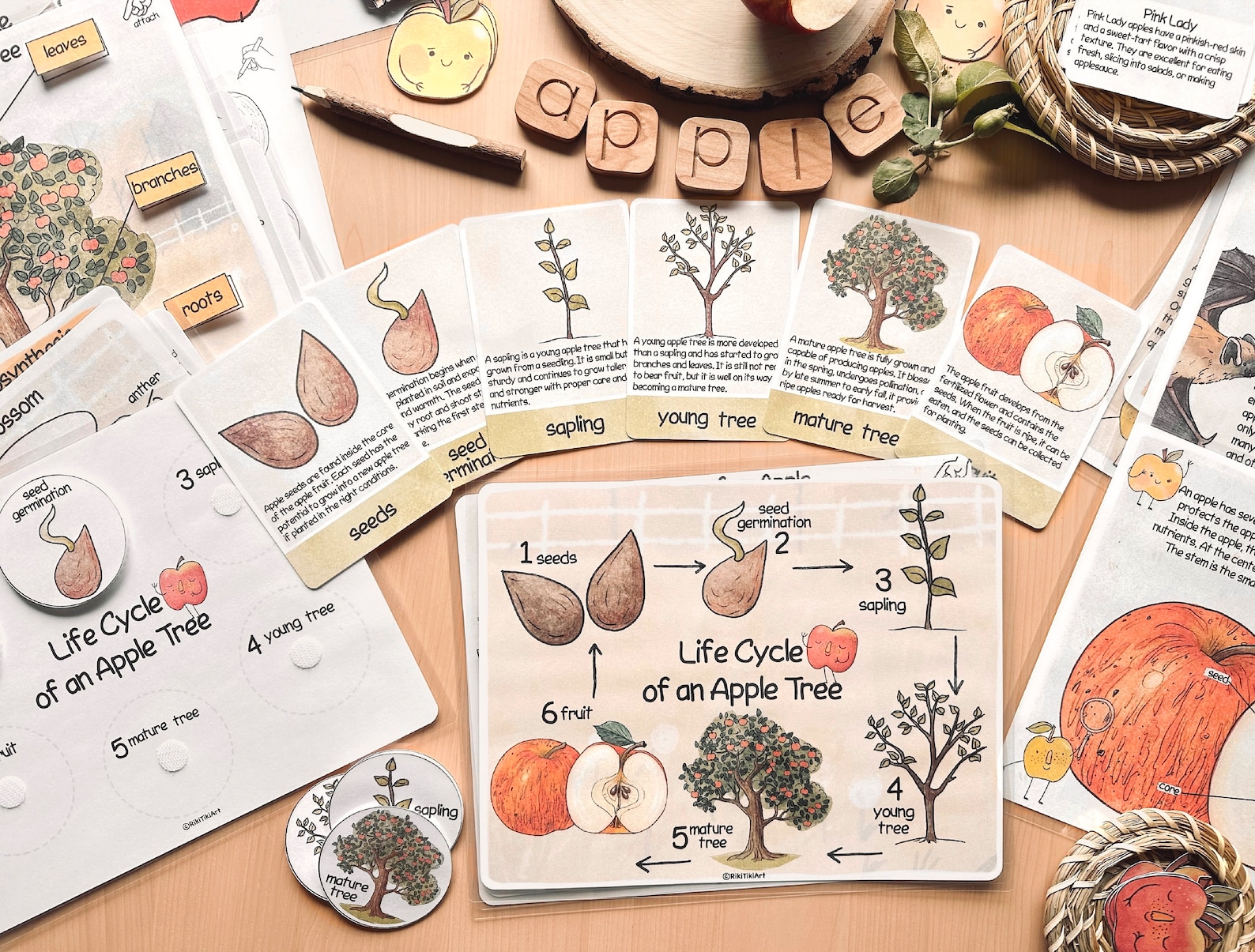 Apple Unit Study Homeschool Fall Printables Charlotte Mason Preschool ...