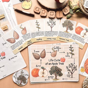 Apple Unit Study Homeschool Fall Printables Charlotte Mason Preschool ...