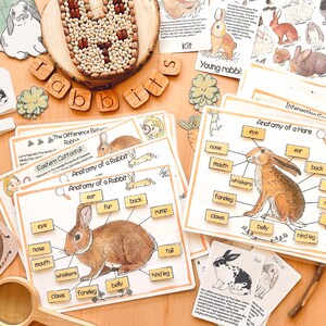 Rabbit Unit Study Homeschool Printables Easter Bunny Spring Learning ...