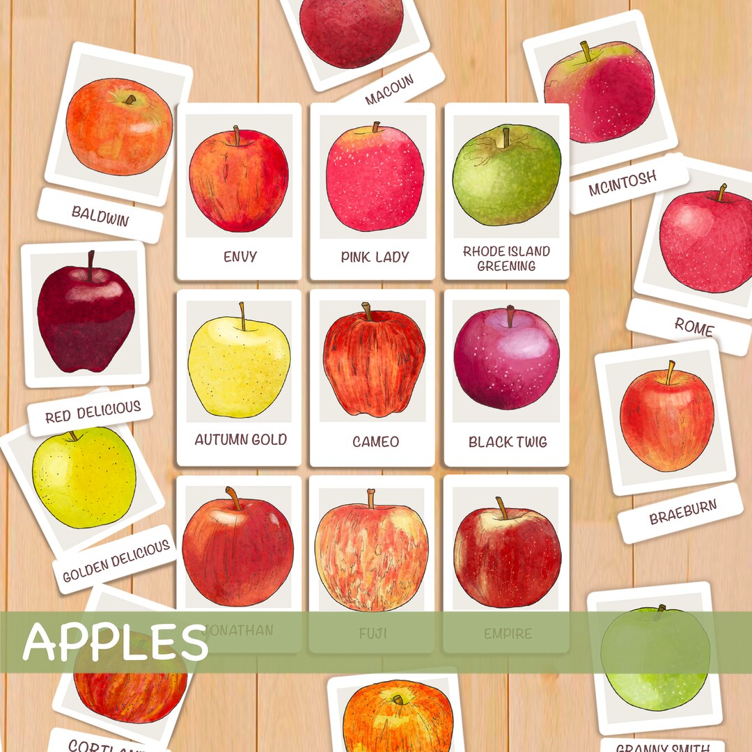 Apple Flash Cards Montessori Printable Homeschool Resources Educational ...