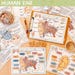 Male Reproductive System Learning Bundle Human Anatomy Busy Bundle ...