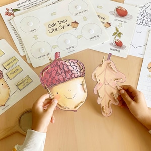 Oak Tree Unit Study Bundle Charlotte Mason Nature Study Anatomy of an ...