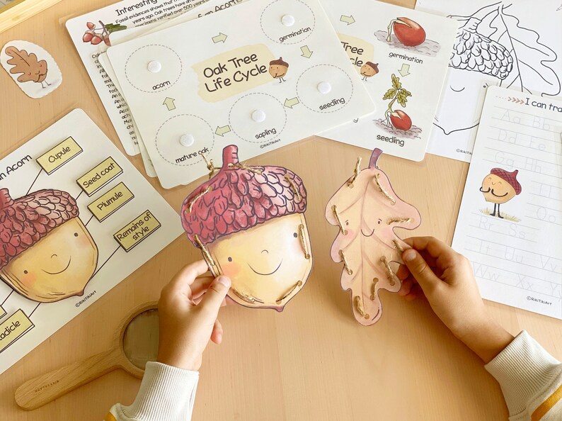 Oak Tree Unit Study Bundle Charlotte Mason Nature Study - Etsy