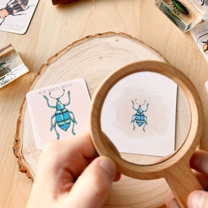 Beetles Study Activity Magnifying Glass Matching Game Homeschool ...