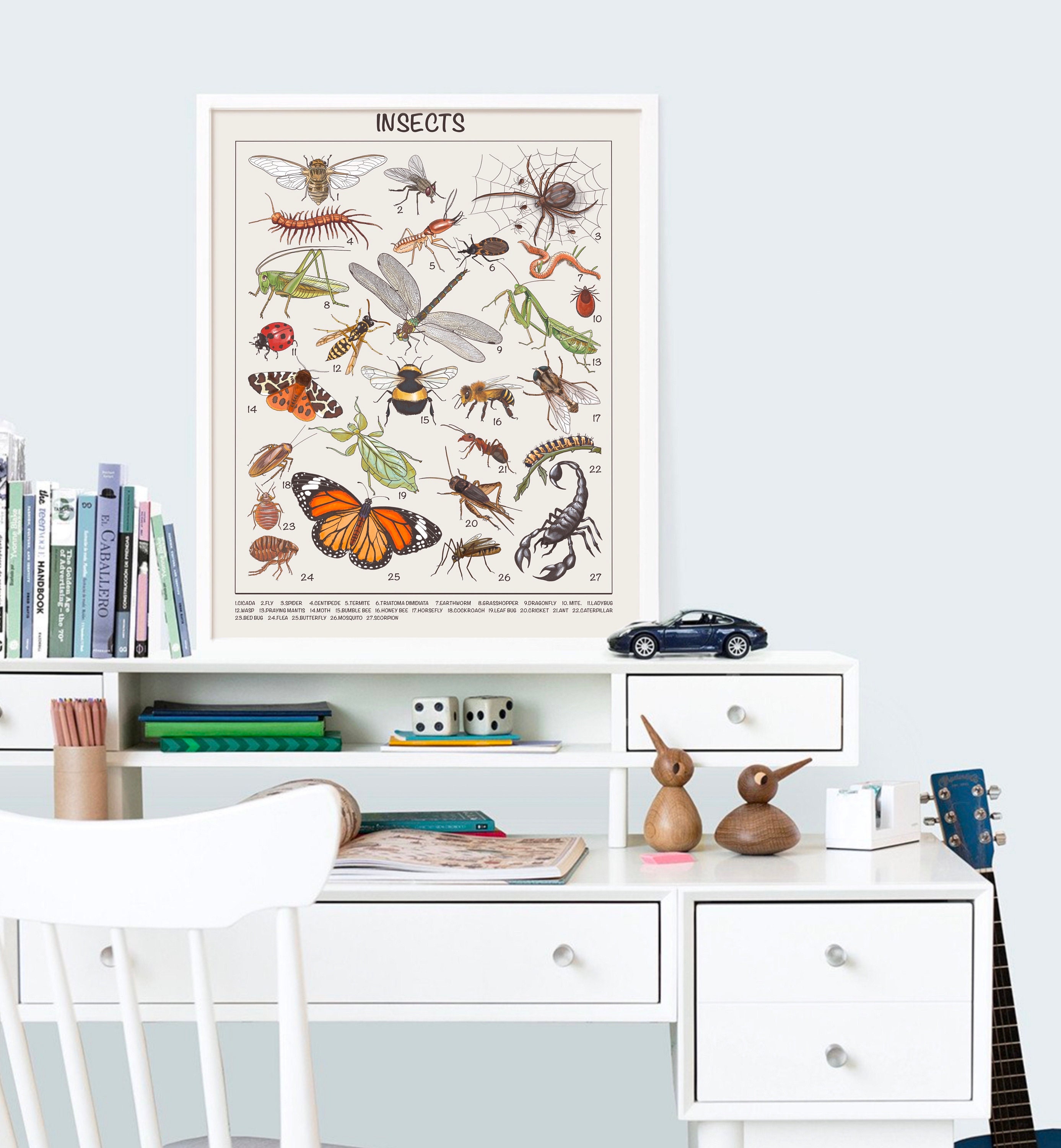 Insects Educational Posters Classroom Posters Montessori Decor ...