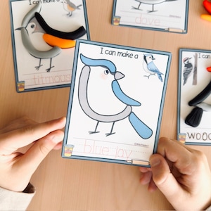 Backyard Birds Play Dough Mats Fine Motor Skills Visual Cards ...