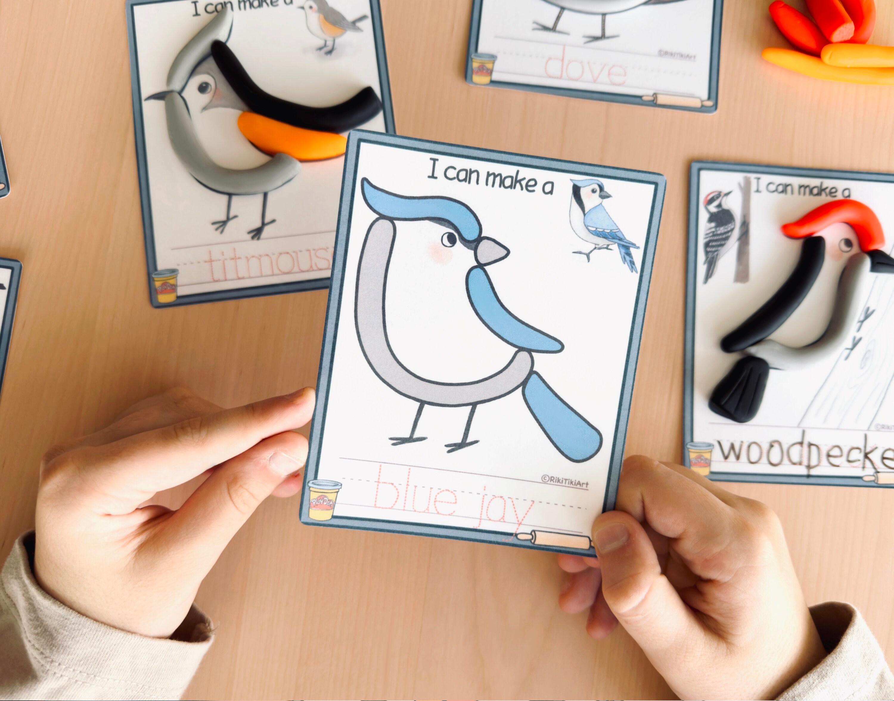 Backyard Birds Play Dough Mats Fine Motor Skills Visual Cards ...