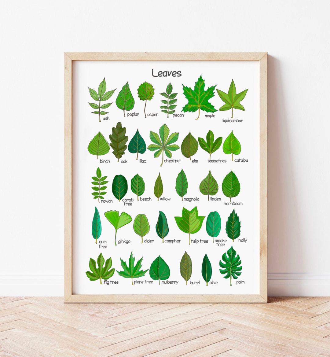 Trees Leaves Poster Homeschool Educational Posters Montessori Printable ...