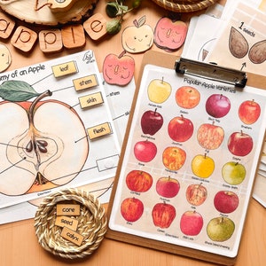 Apple Unit Study Homeschool Fall Printables Charlotte Mason Preschool ...