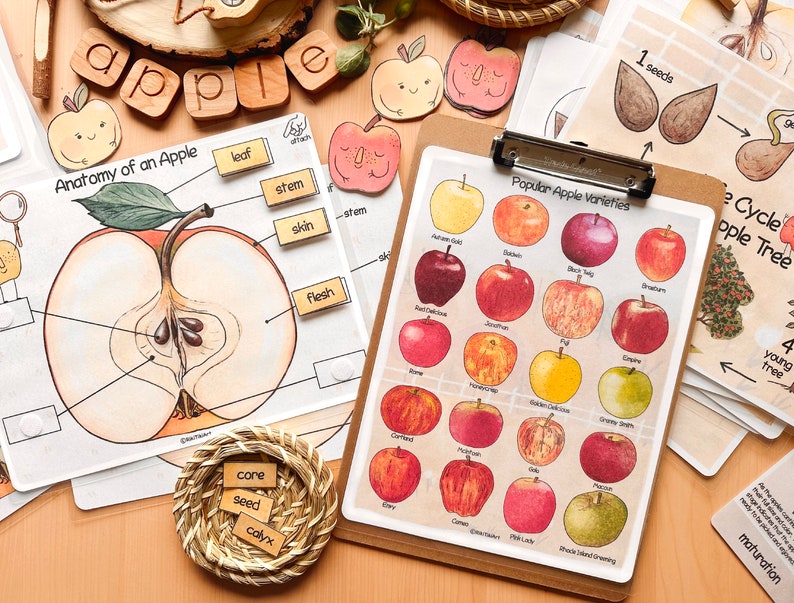 Apple Unit Study Homeschool Fall Printables Charlotte Mason Preschool ...