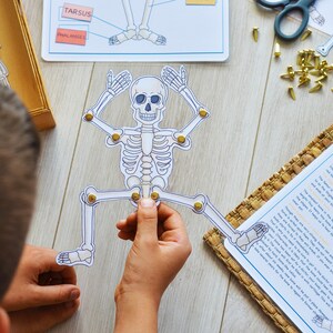 Human Skeleton Busy Book Page, Printable Montessori Materials ...