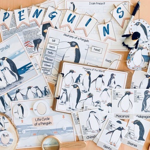 Penguins Unit Study Winter Homeschool Learning Materials Charlotte ...