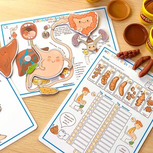 German Human Anatomy Busy Book Homeschool Human Body Unit Study ...