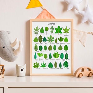 Trees Leaves Poster Homeschool Educational Posters Montessori Printable ...