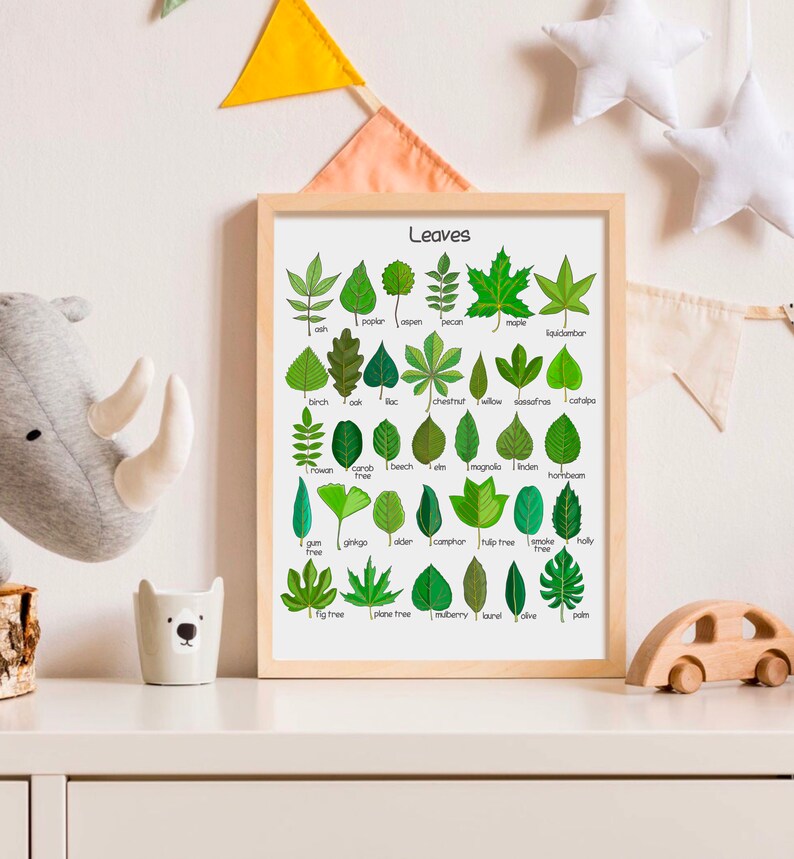 Trees Leaves Poster Homeschool Educational Posters Montessori Printable ...