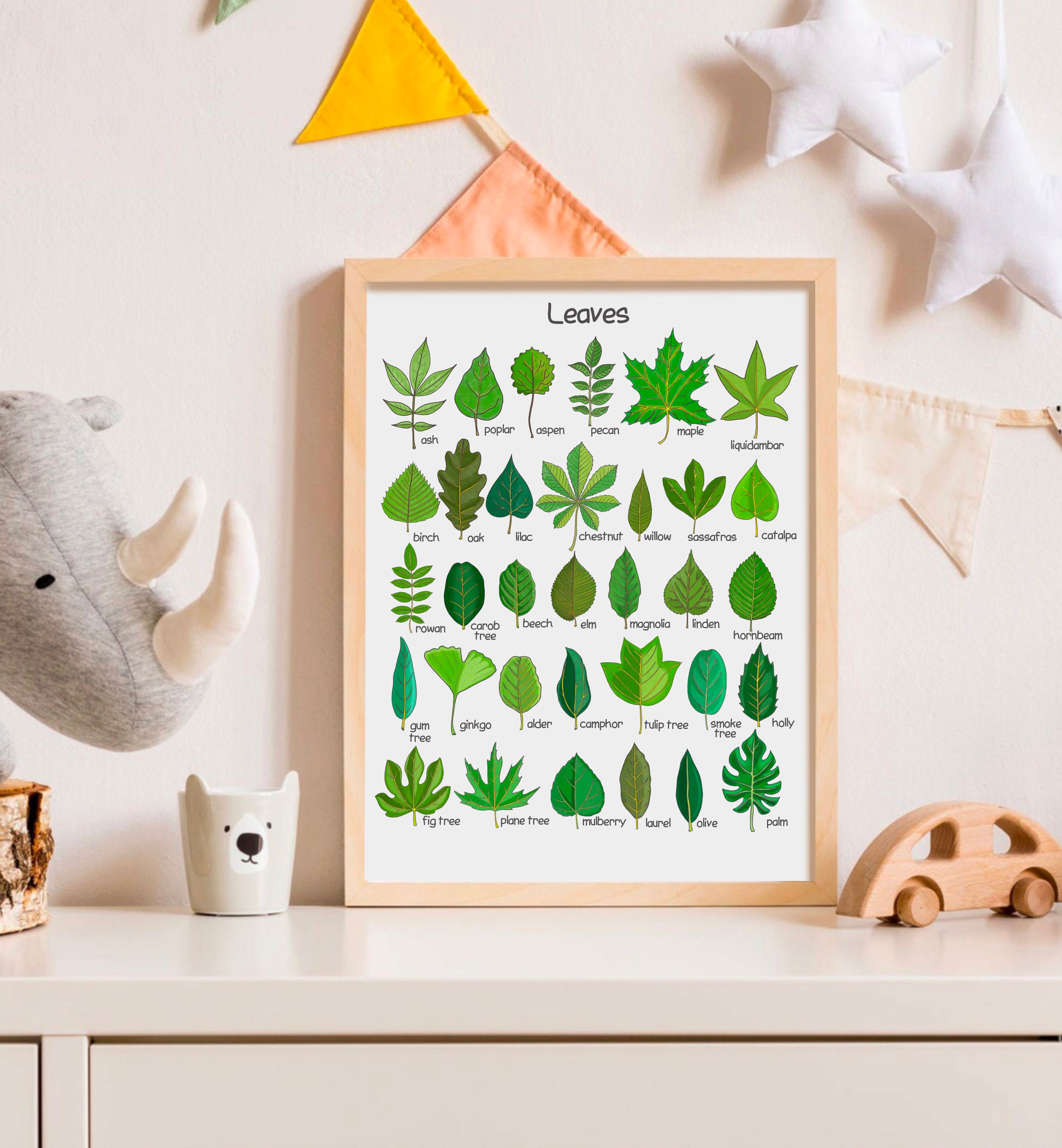 Trees Leaves Poster Homeschool Educational Posters Montessori | Etsy