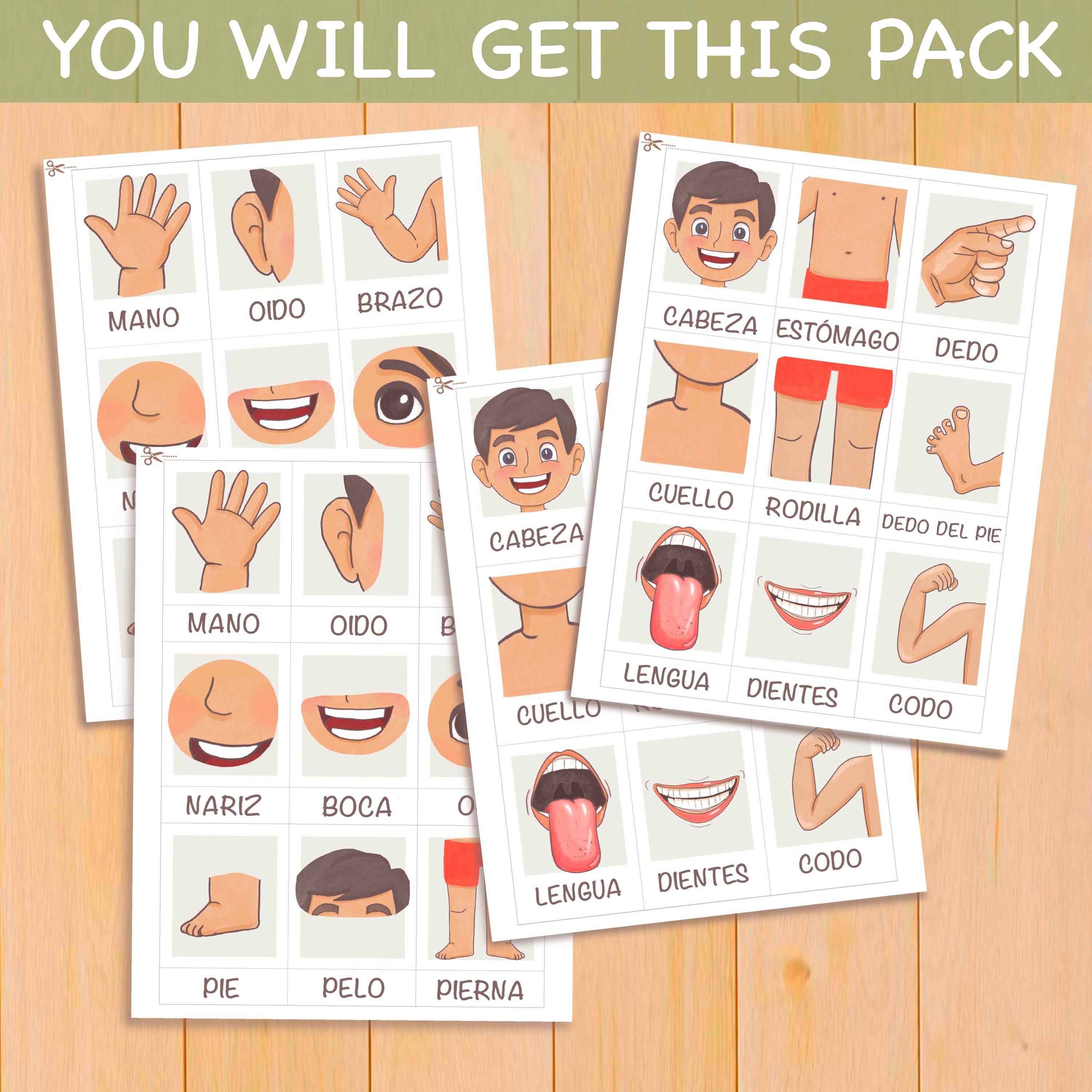 Spanish Body Parts Flash Cards: Montessori Homeschool Learning (digital ...