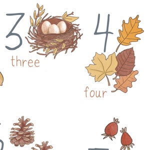 Woodland Numbers Poster Classroom Educational Posters for Toddlers ...