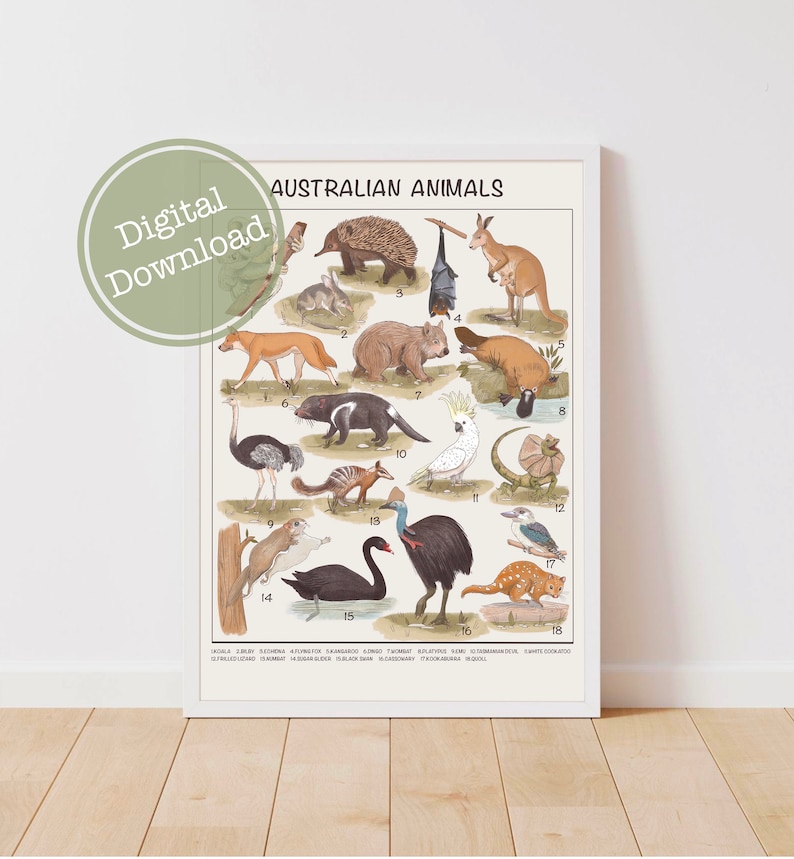 Australian Animals Educational Poster Homeschool Montessori - Etsy