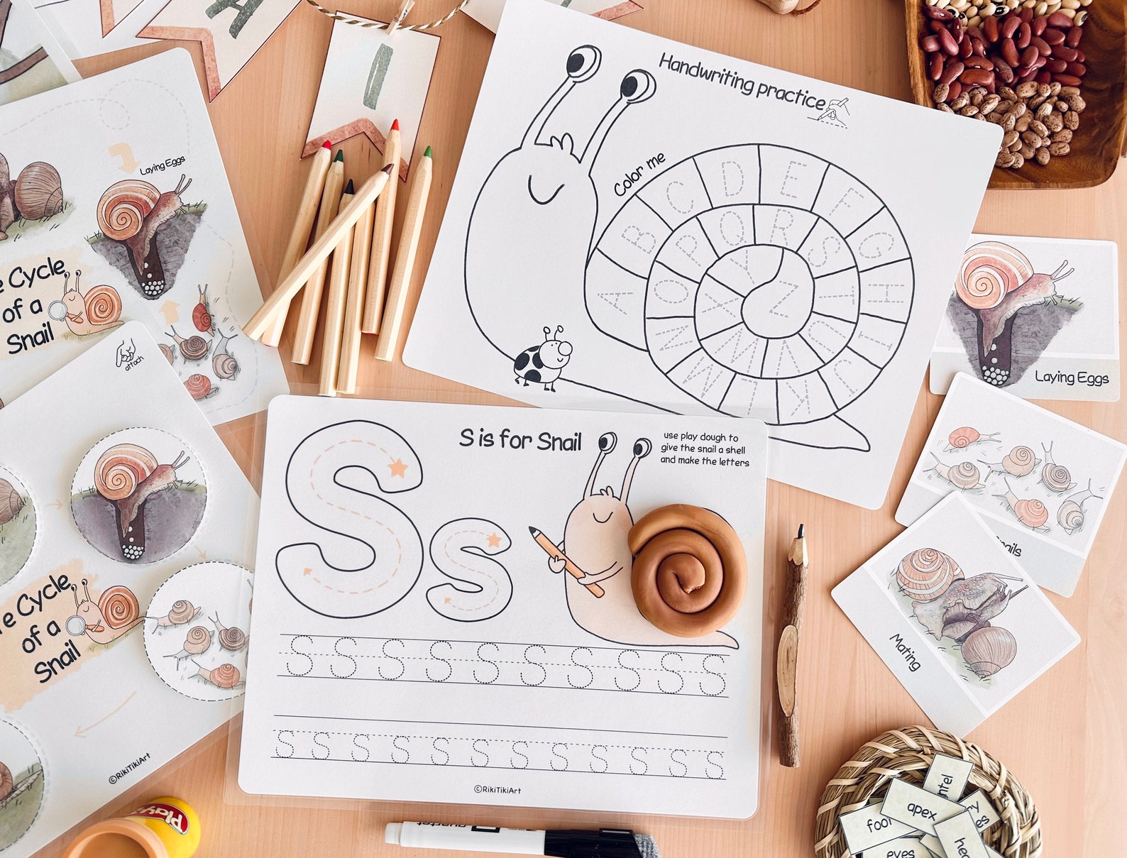 Snail Unit Study Charlotte Mason Spring Printable Worksheets Preschool ...