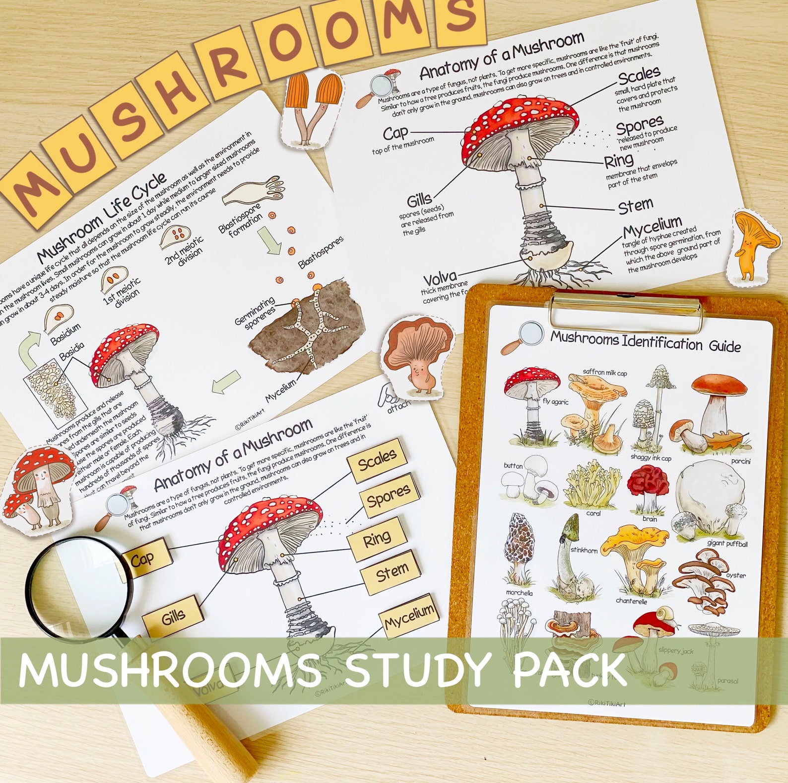 Mushrooms Unit Study Bundle Charlotte Mason Homeschool Learning ...