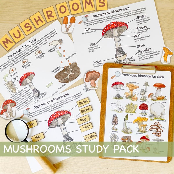 Mushrooms - Etsy