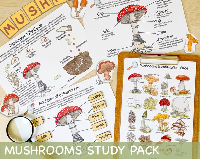 Toothpicks and Play Dough 2D Shapes Visual Cards Toddler Activity ...