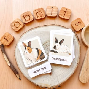 Rabbits Flash Cards Montessori Printable Homeschool Resources Nature ...