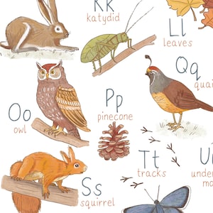 Woodland Alphabet Poster Woodland Animals Nursery Wall Art Montessori ...