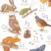 Woodland Alphabet Poster Woodland Animals Nursery Wall Art - Etsy