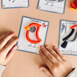Backyard Birds Play Dough Mats Fine Motor Skills Visual Cards ...