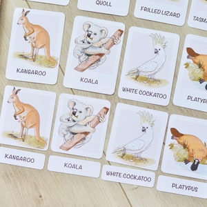 Toddler Flash Cards, Australian Animals - Flashcards, Preschool ...