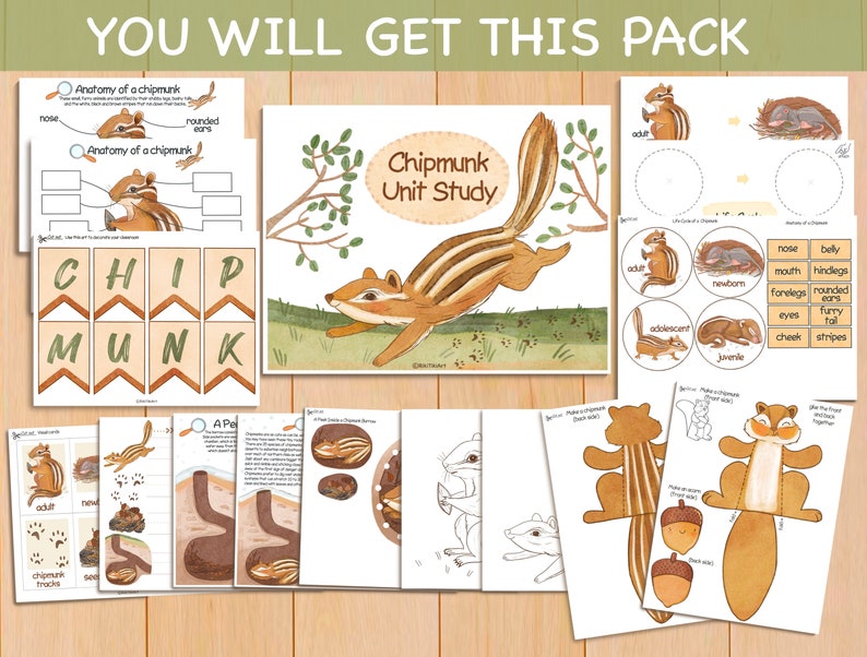 Chipmunk Unit Study Bundle Fall Homeschool Printables - Etsy