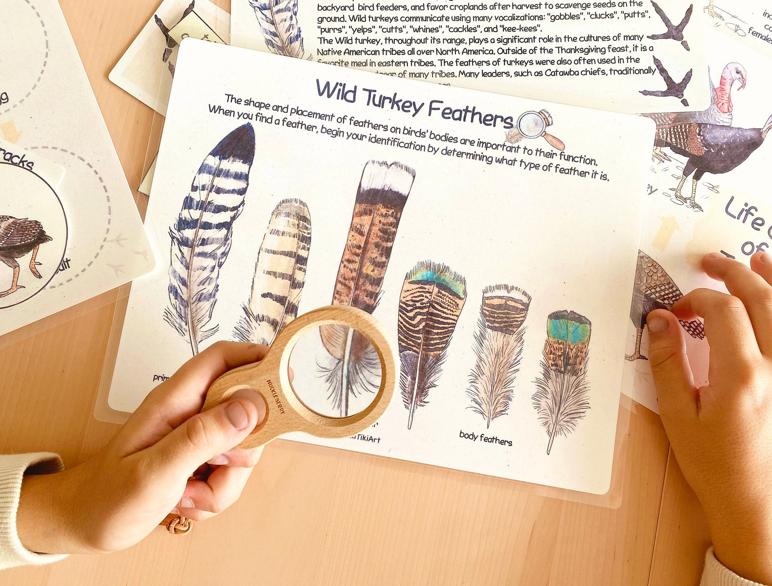 Turkey Unit Study Fall Homeschool Learning Materials Charlotte Mason ...
