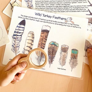 Turkey Unit Study Fall Homeschool Learning Materials Charlotte Mason ...