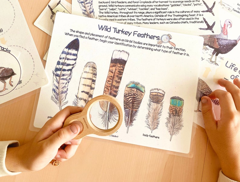 Turkey Unit Study Fall Homeschool Learning Materials Charlotte Mason ...