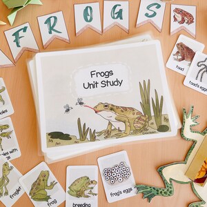 Frog Unit Study Homeschool Summer Activities Frog and Toad Life Cycle ...